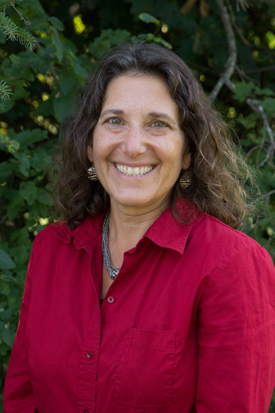 Insights into the Making of State and Federal Climate Policy ...